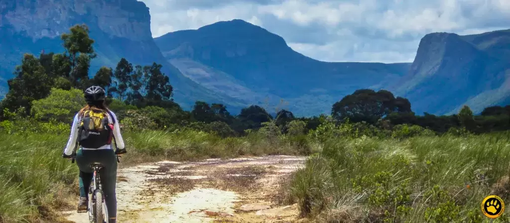 Coluna Minas Turismo Gerais - Novojornal