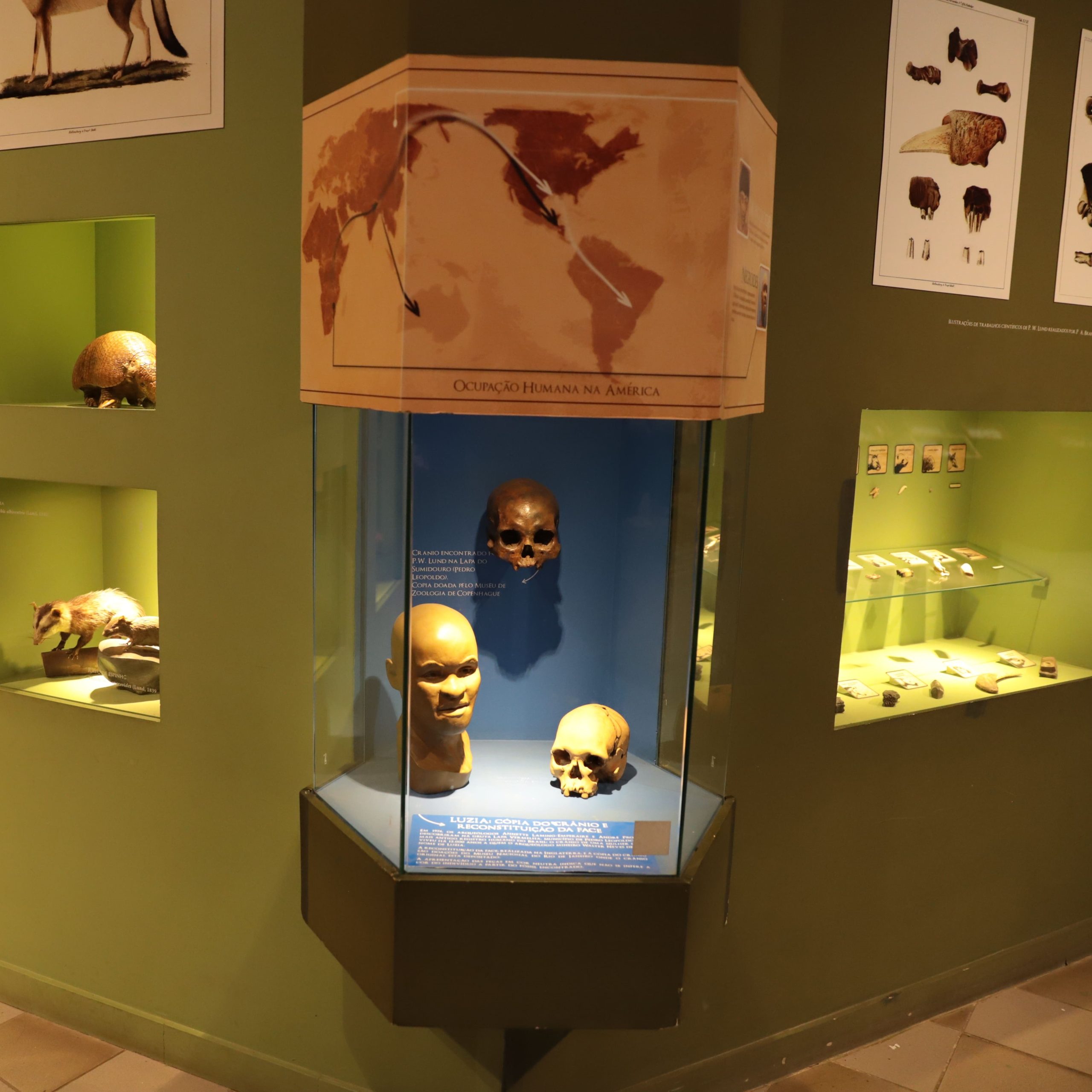 Descoberta de Luzia, um dos esqueletos mais antigos das Américas ...