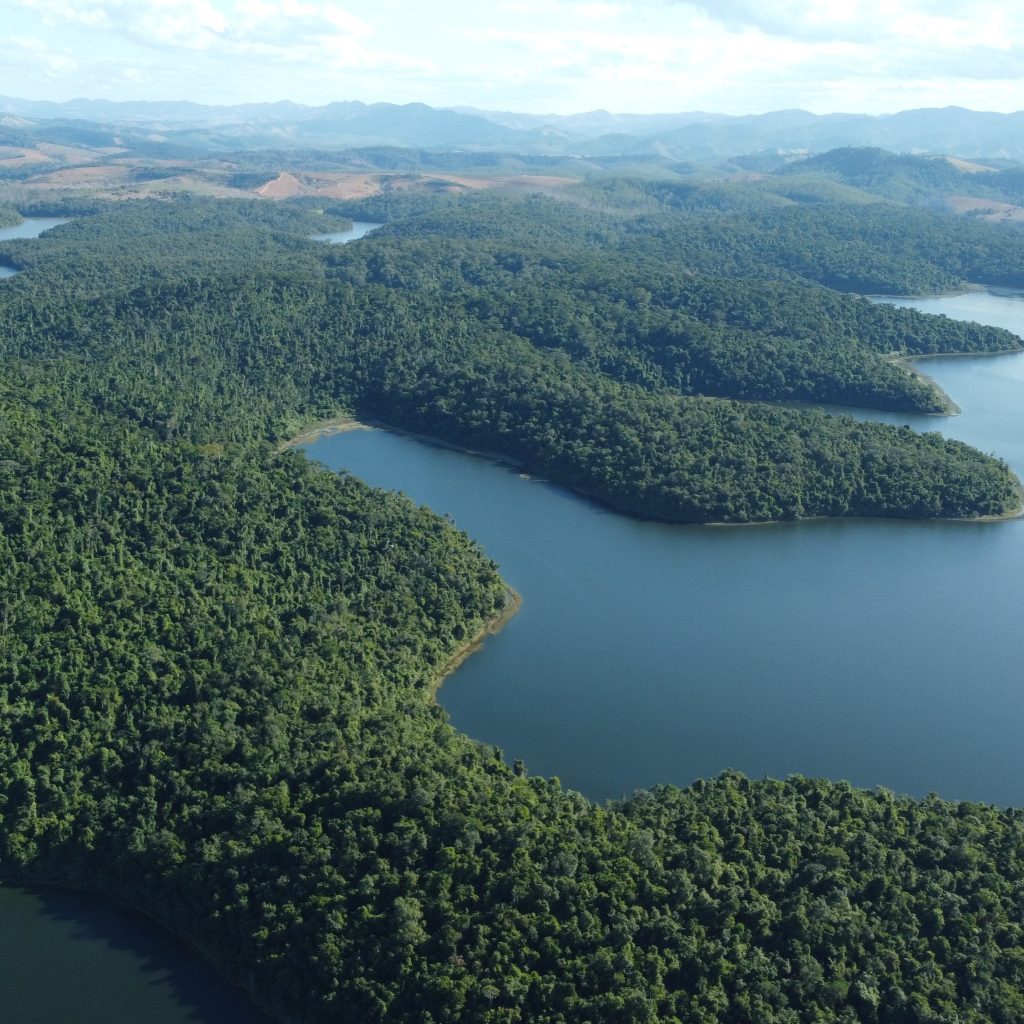 Parque Estadual do Rio Doce completa 80 anos - Novojornal