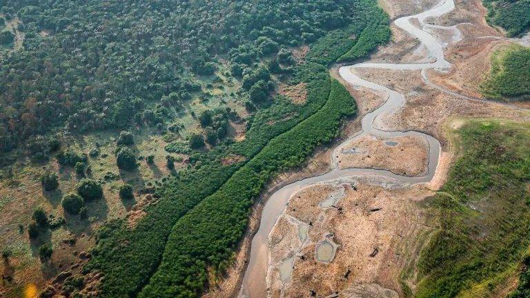 BNDES e Fundo Clima destinam R$ 100 milhões à Amazônia - Novojornal